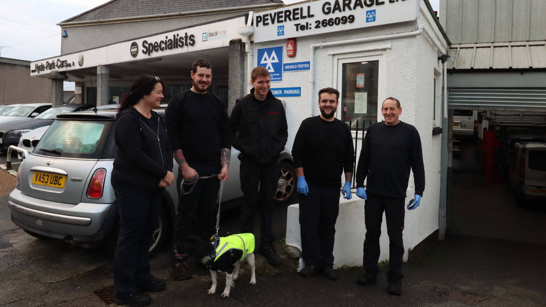 Hybrid and Electric Vehicle Technicians - Peverell Garage